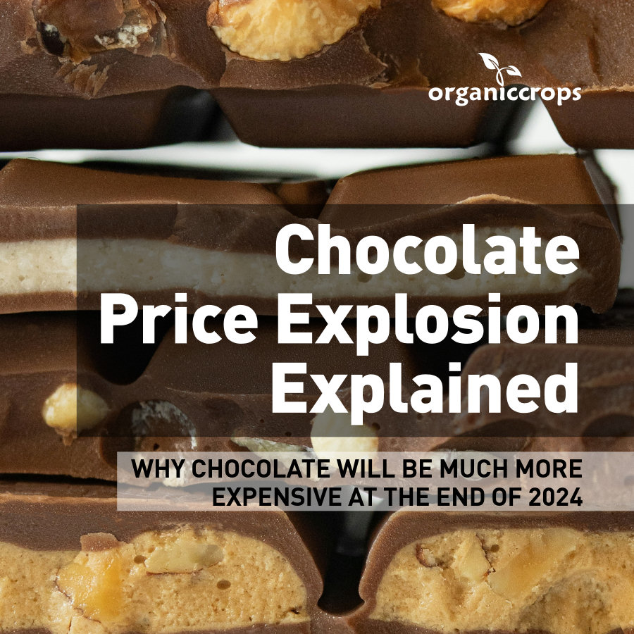Why Chocolate Will be Much More Expensive by the End of 2024