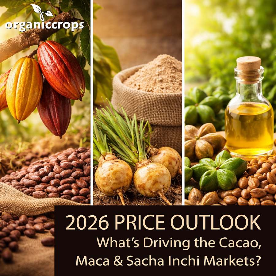 2026 Price Outlook: What’s Driving the Cacao, Maca & Sacha Inchi Markets?